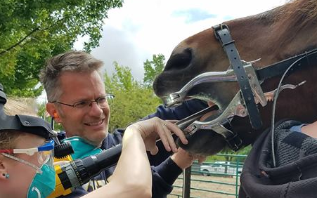 Kyle Mathis, DVM - Veterinary Technology